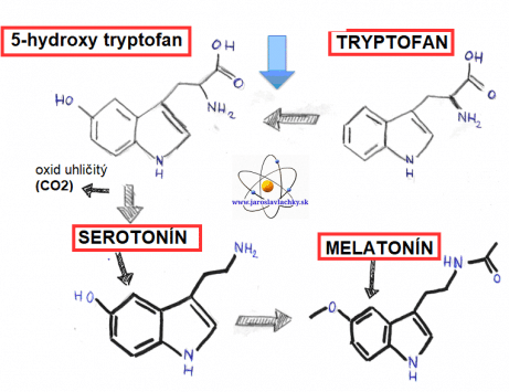 NEUROTRANSMITERY #1 DOPAMÍN a SEROTONÍN